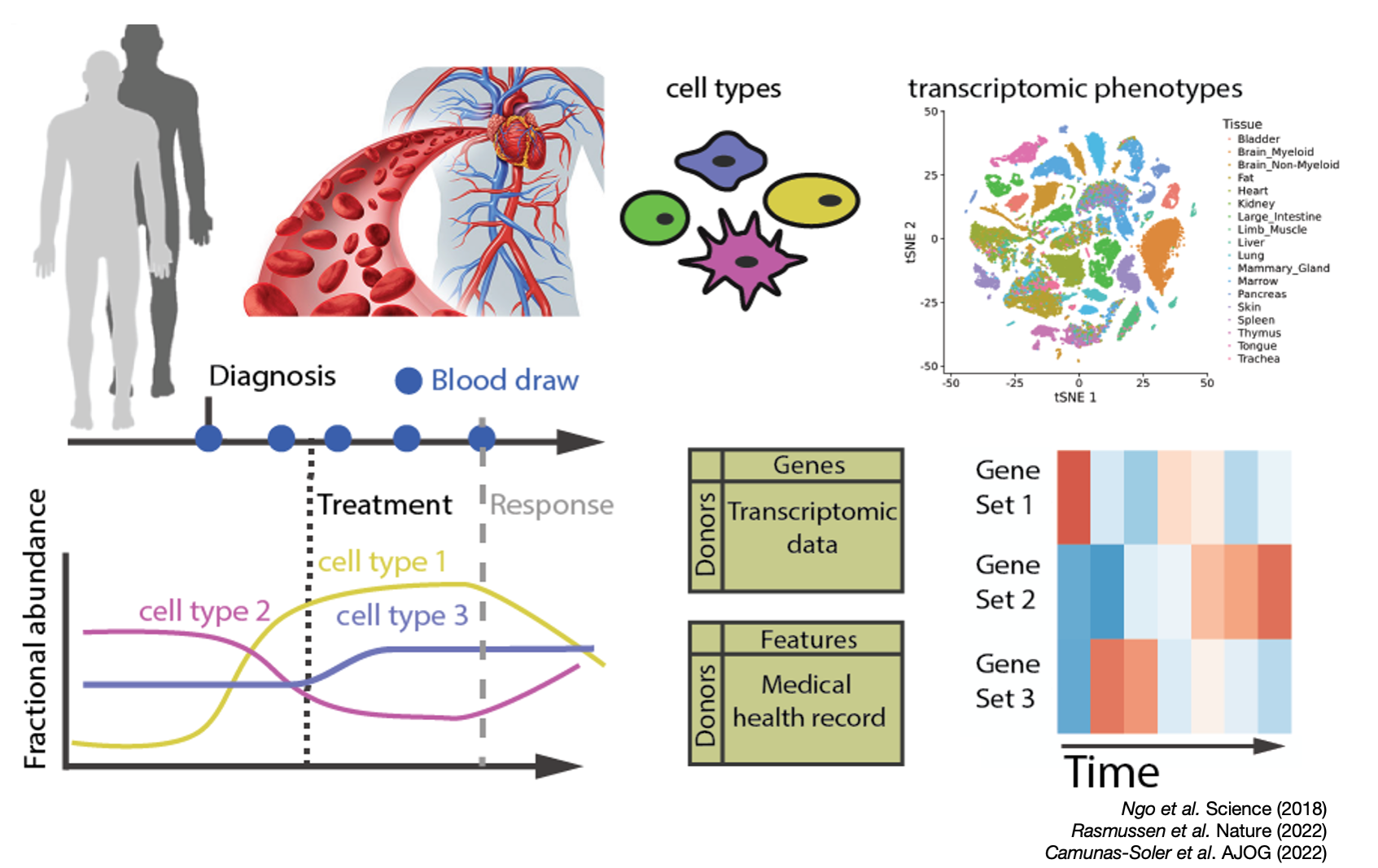 About the Camuñas-Soler Lab | Camuñas-Soler Lab